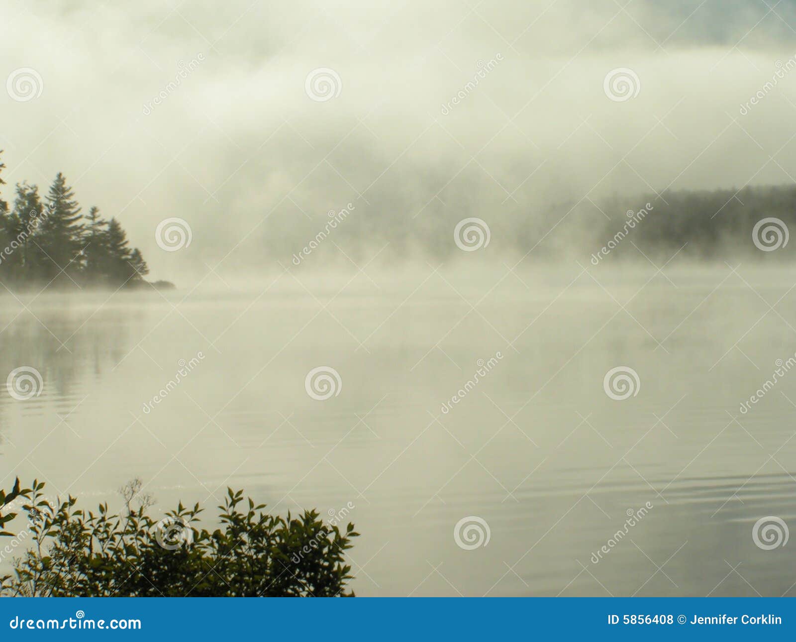 Mist rising from lake stock photo. Image of sunshine, trees - 5856408