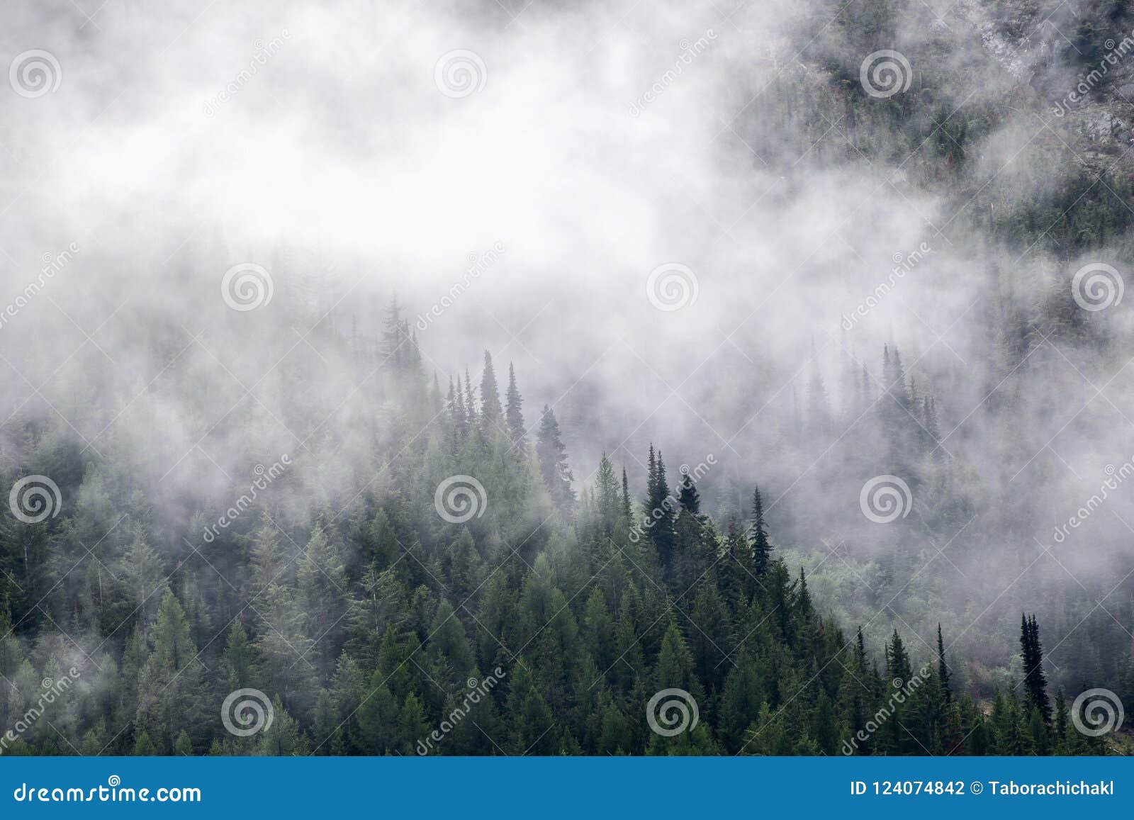 Mist Rising in Mountains after Storm Stock Photo - Image of nature ...