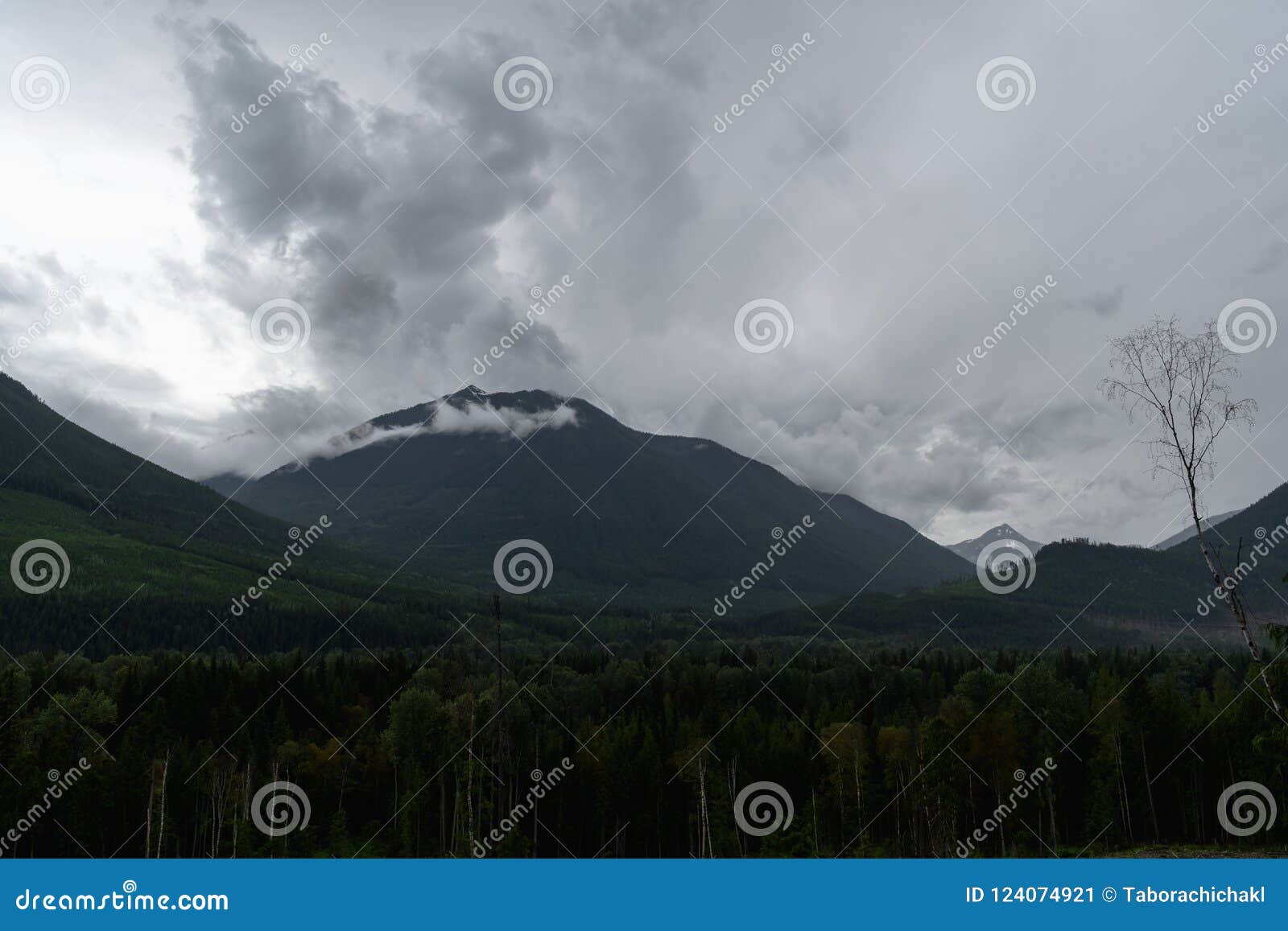 Mist Rising in Mountains after Storm Stock Image - Image of misty, hill ...