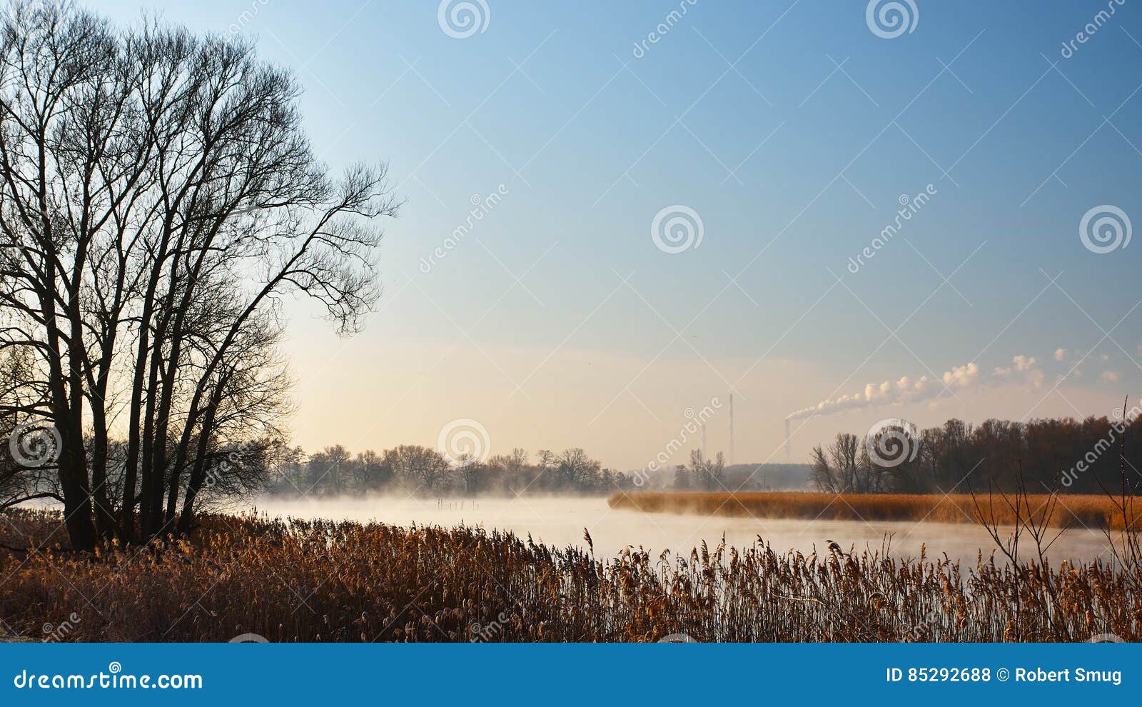 Mist Rising from the River in the Morning. Stock Photo - Image of smoke ...