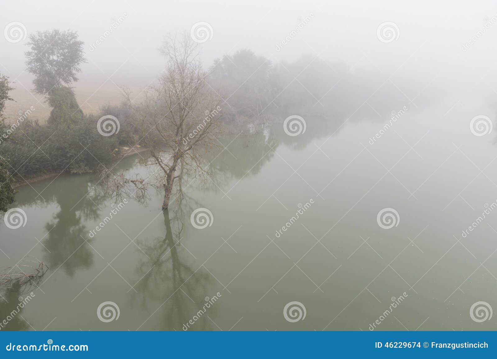 Mist on the river stock photo. Image of ground, migration - 46229674