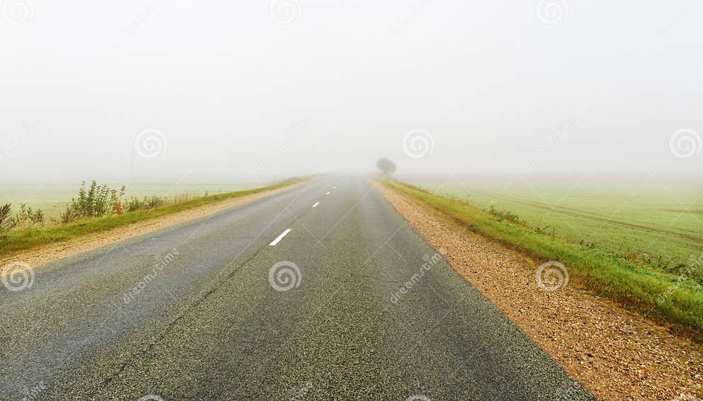 Mist on a road. stock image. Image of roadside, remote - 21806193