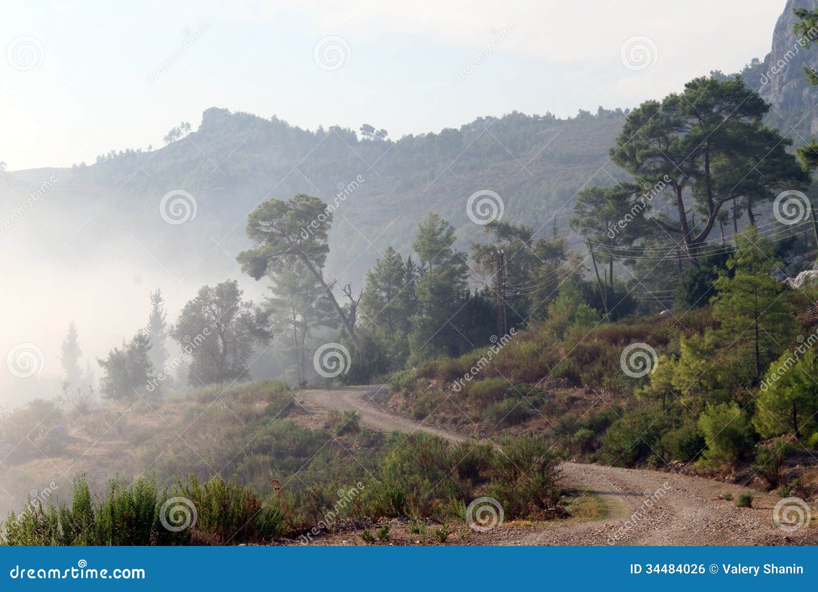 Mist and road stock photo. Image of view, wild, curve - 34484026