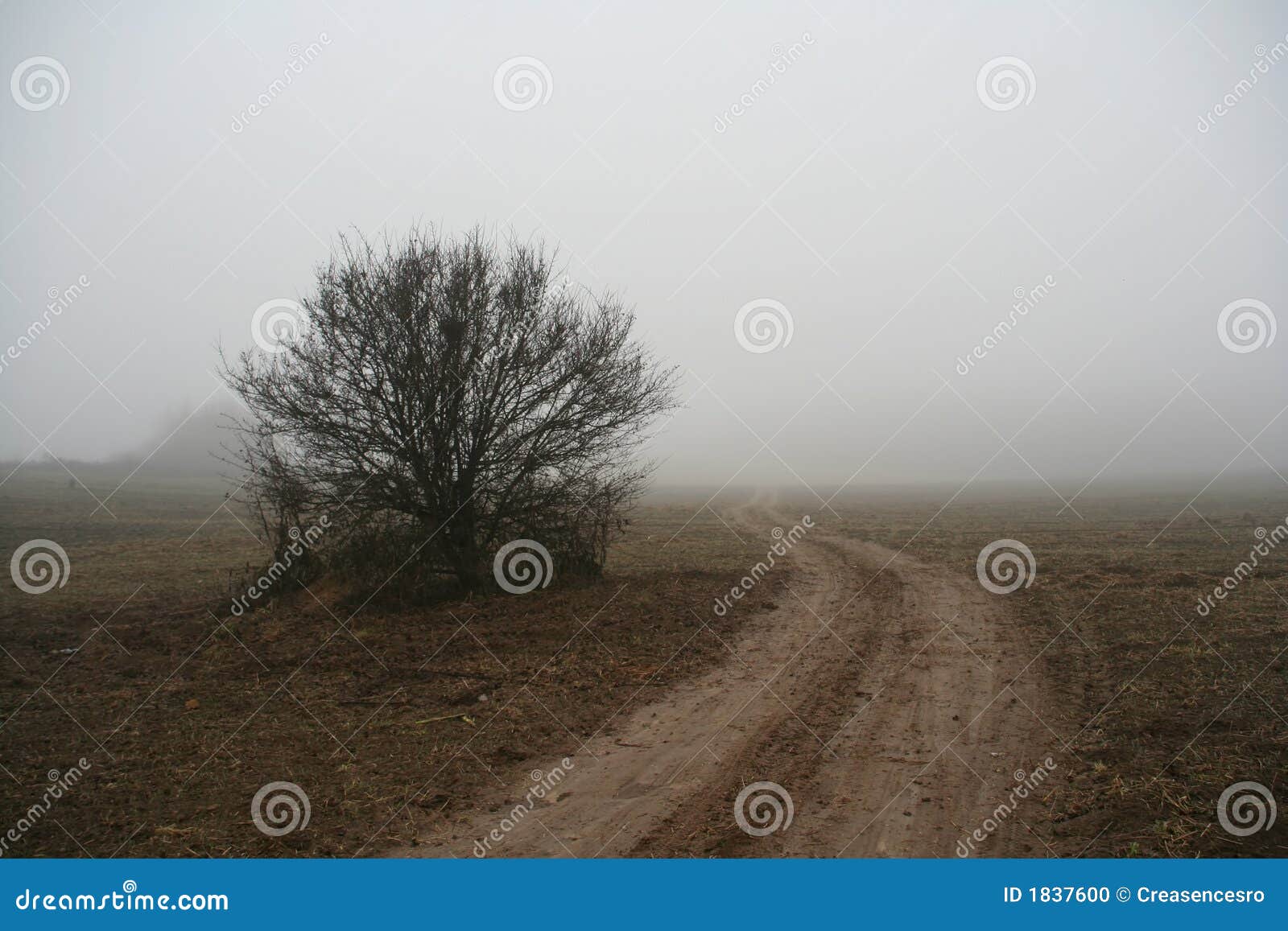 Mist in rural area stock photo. Image of scene, cold, plant - 1837600