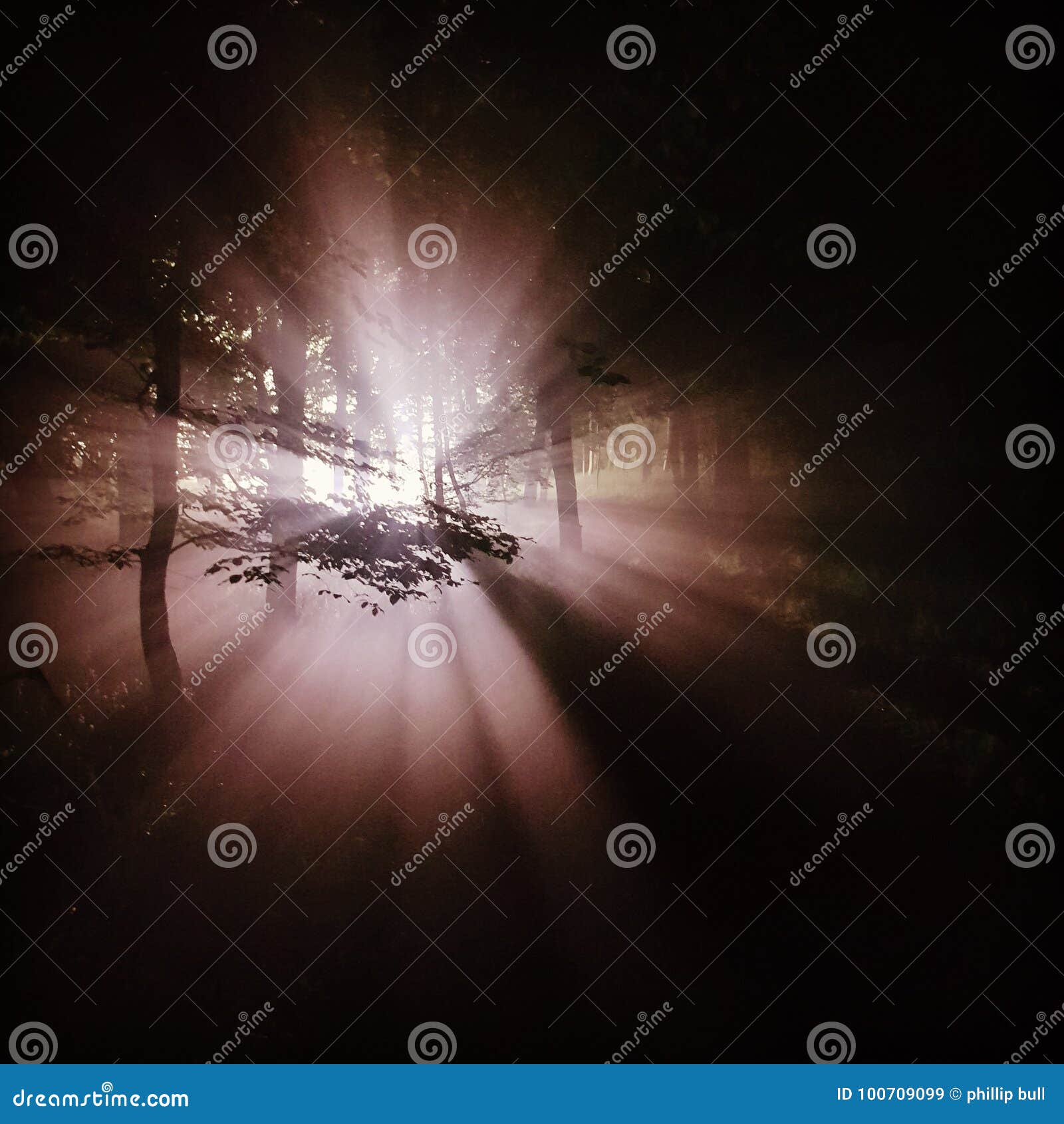 Mist stock image. Image of mist, light, night, mystic - 100709099