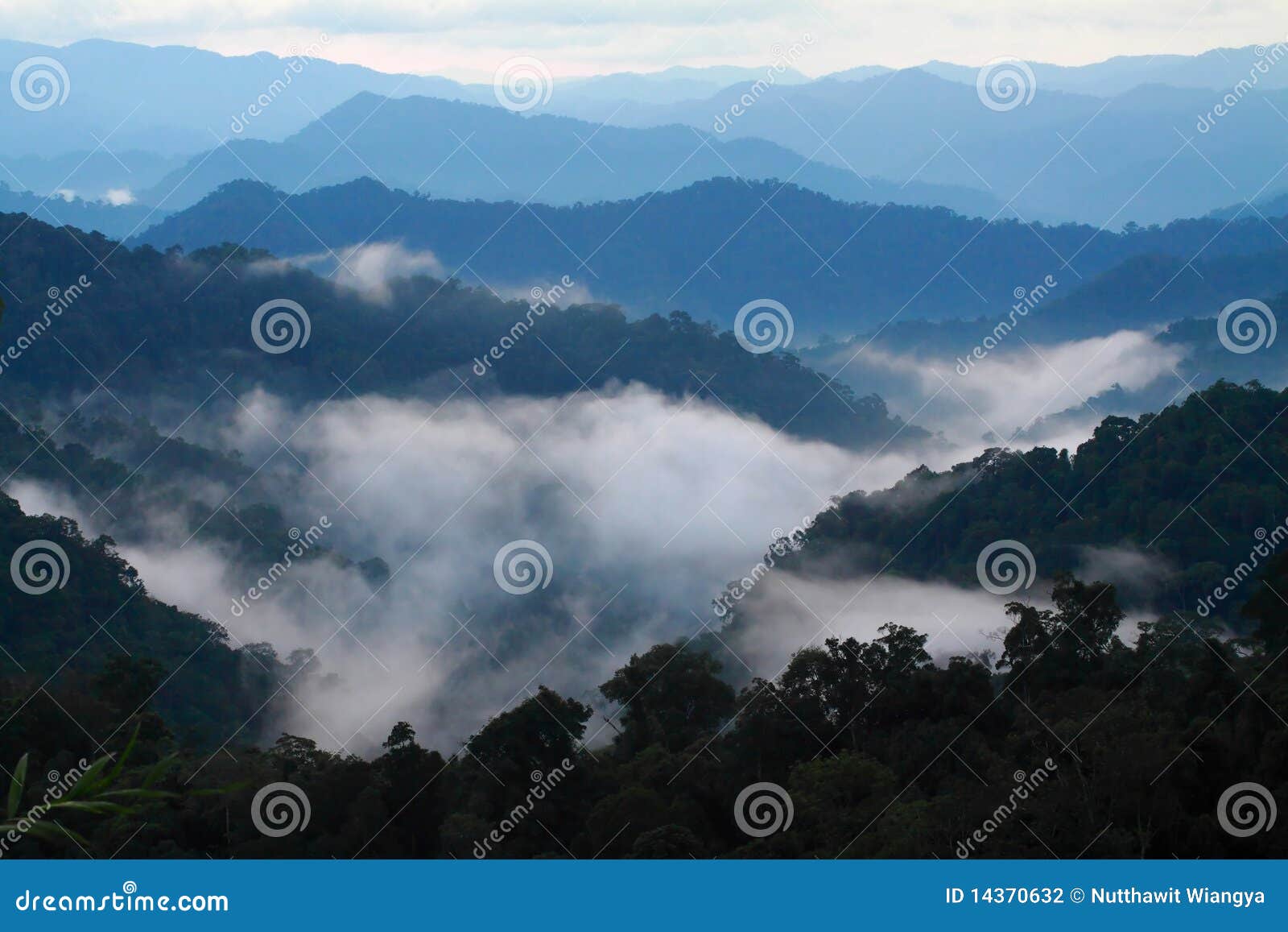 Mist valley stock photo. Image of nature, environment - 14370632
