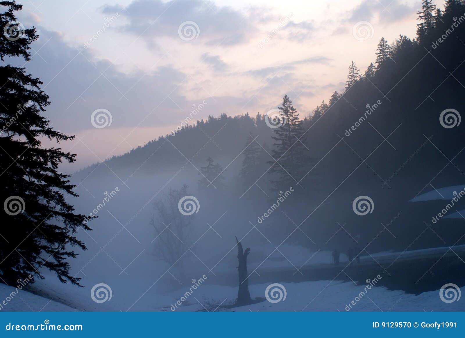 Mist valley stock photo. Image of valley, evening, mist - 9129570