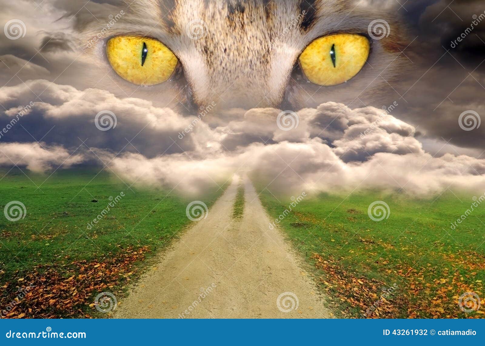 Misterious eyes stock photo. Image of abstract, misterious - 43261932