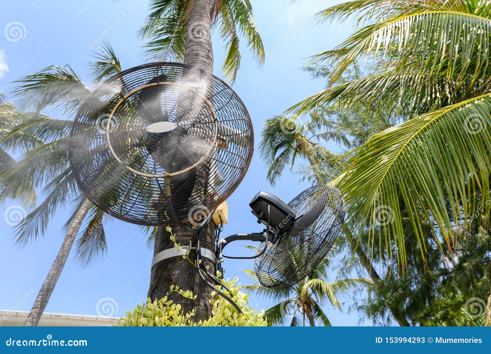 Misting Fan Spraying Steam on Coconut Tree Stock Image - Image of blow ...