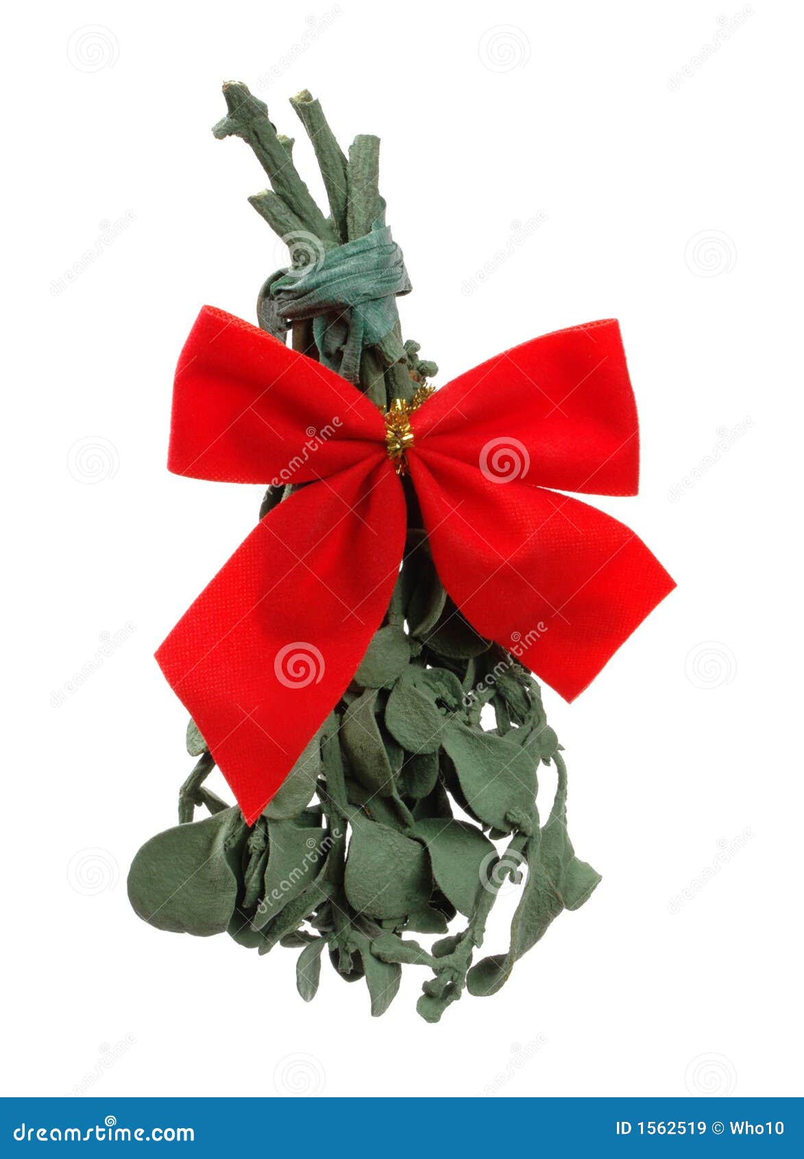 Mistletoe stock image. Image of bundle, holiday, santa - 1562519