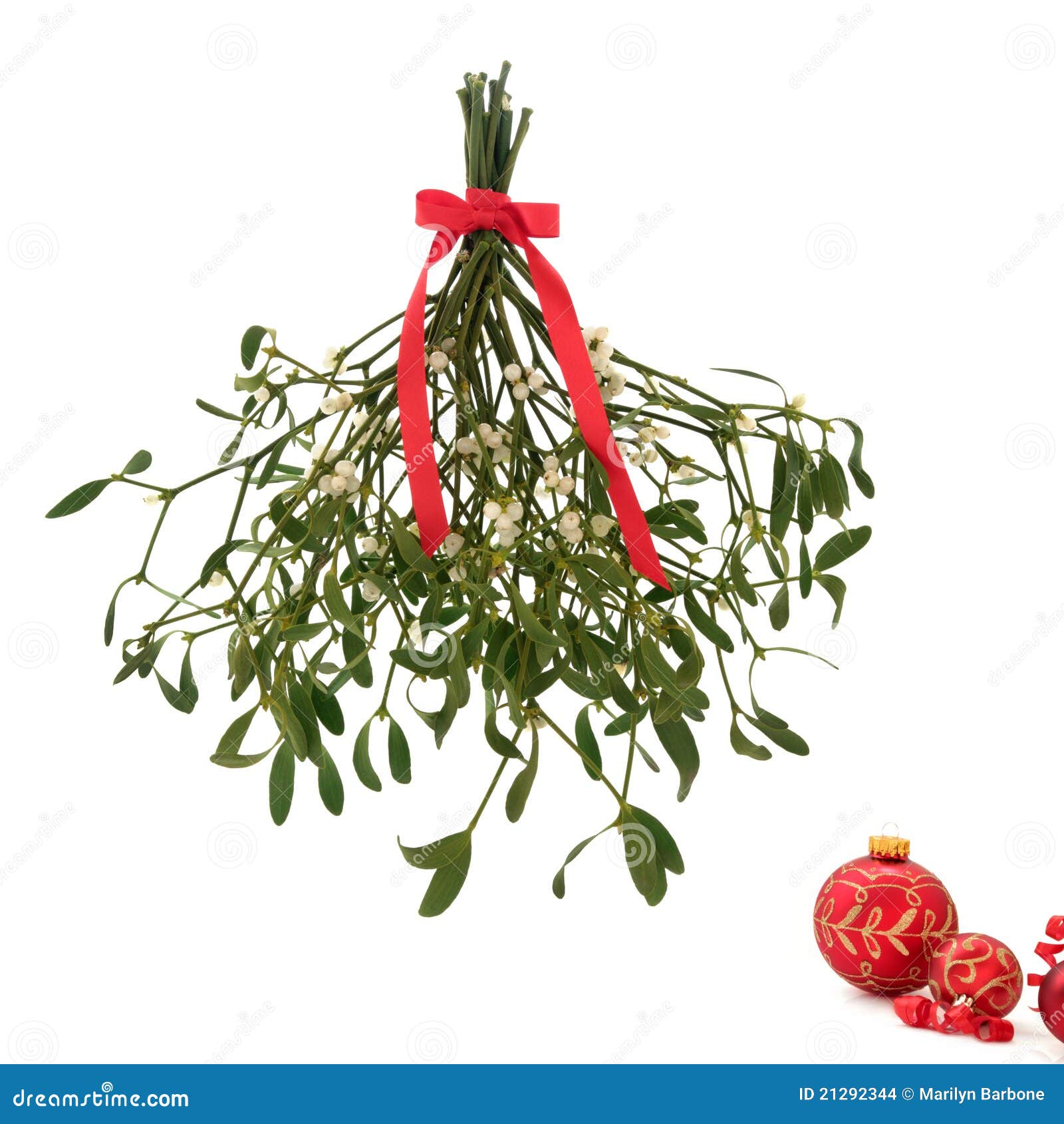 Mistletoe stock photo. Image of ribbon, branch, romantic - 21292344