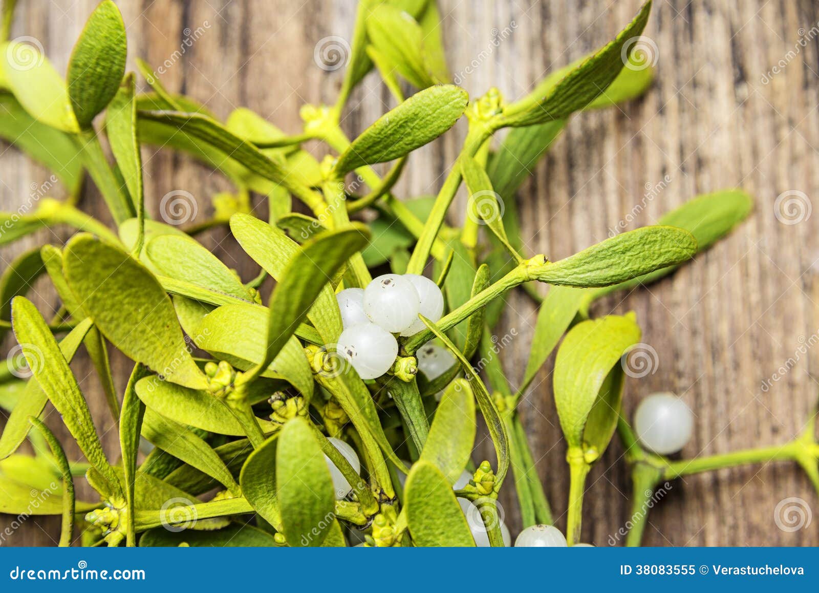 Mistletoe stock image. Image of branch, seasonal, berry - 38083555