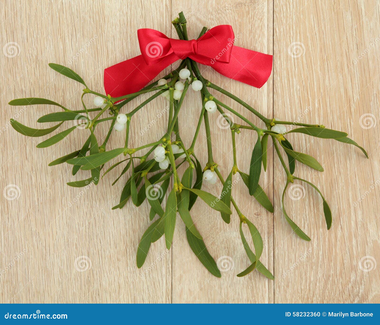 Mistletoe foto de stock. Imagem de festivo, advento, verde - 58232360