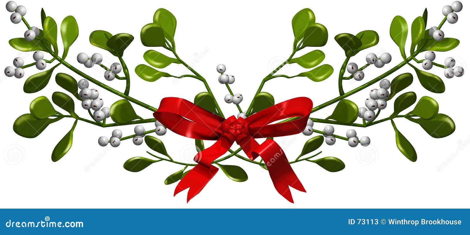 Mistletoe stock illustration. Illustration of berries, loranthaceae - 73113