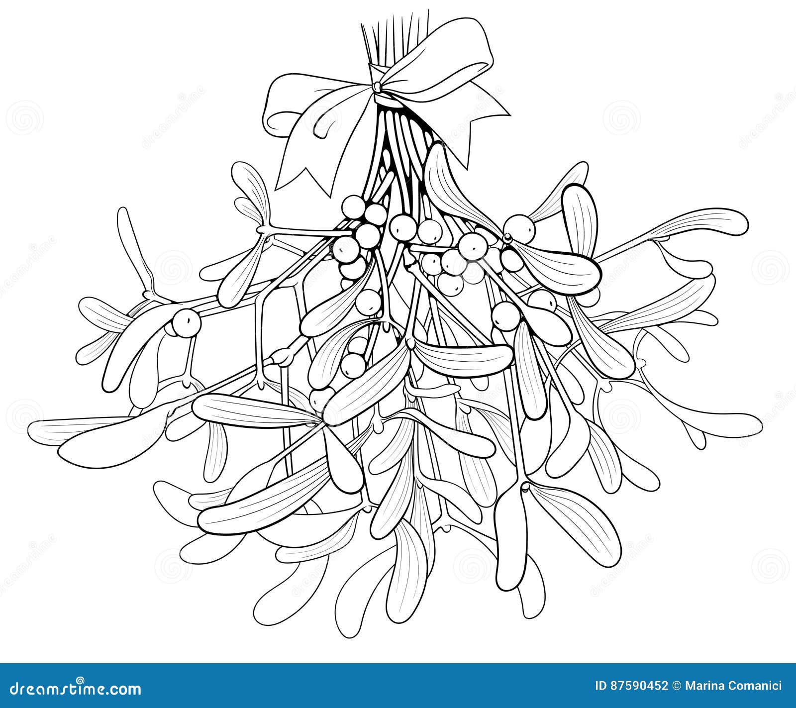Mistletoe stock vector. Illustration of plant, decoration - 87590452