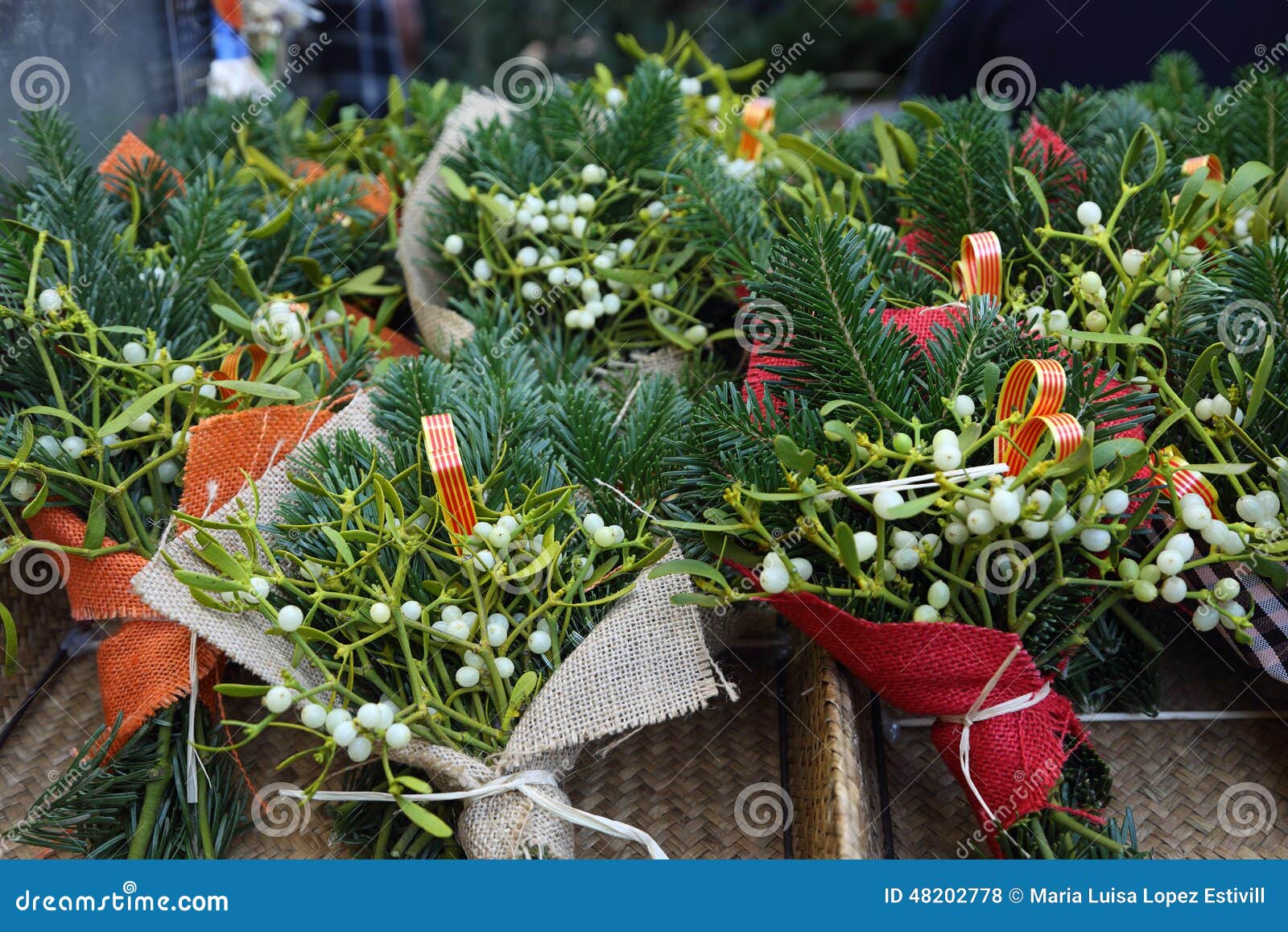 Mistletoe branch stock photo. Image of sprig, happy, ornament - 48202778