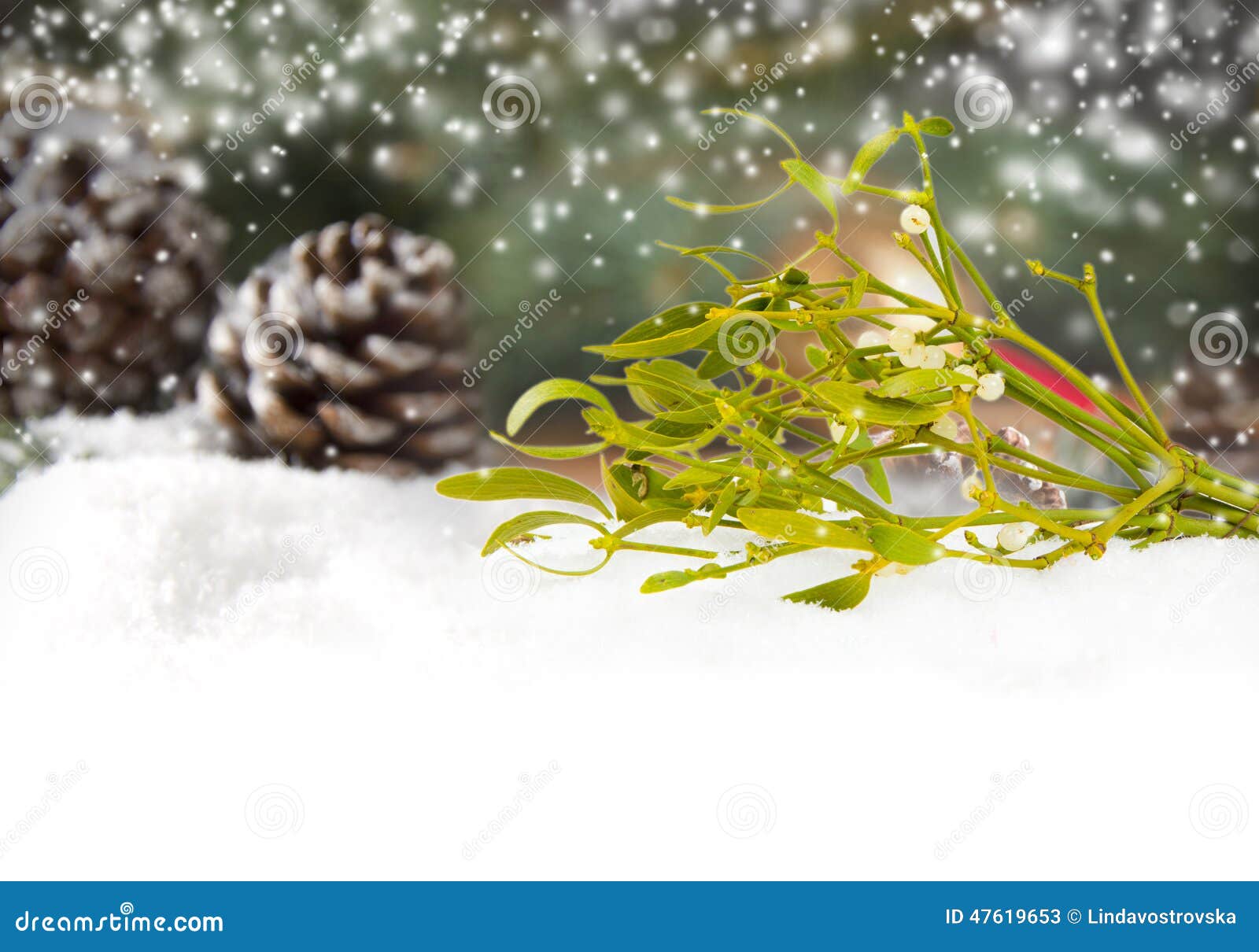 Mistletoe branch stock image. Image of branch, light - 47619653