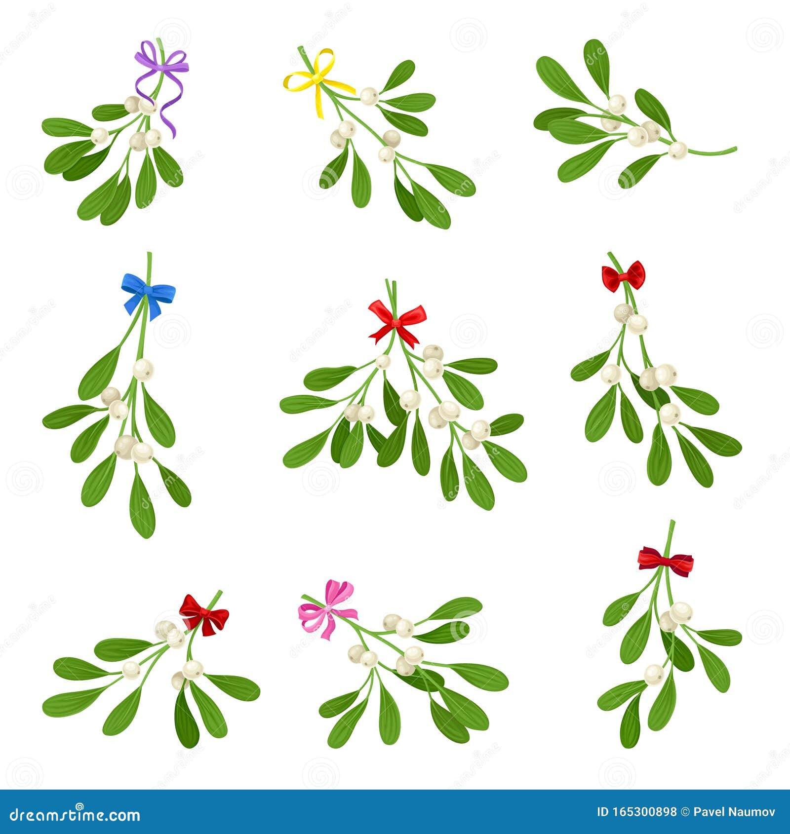 Mistletoe Branches Vector Set. Colorful Twigs Composition Isolated on ...