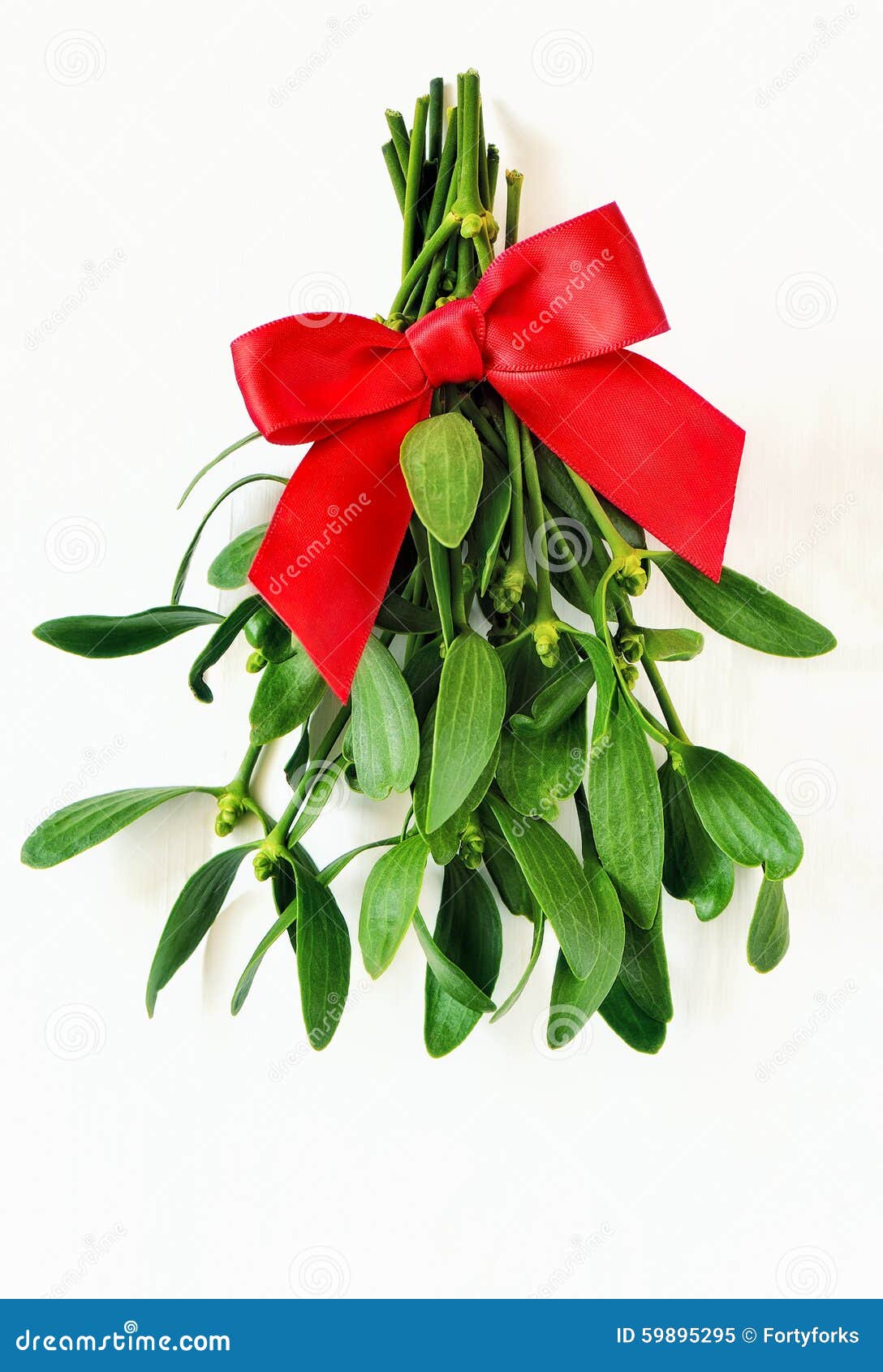 Mistletoe bunch stock image. Image of hanging, symbol - 59895295