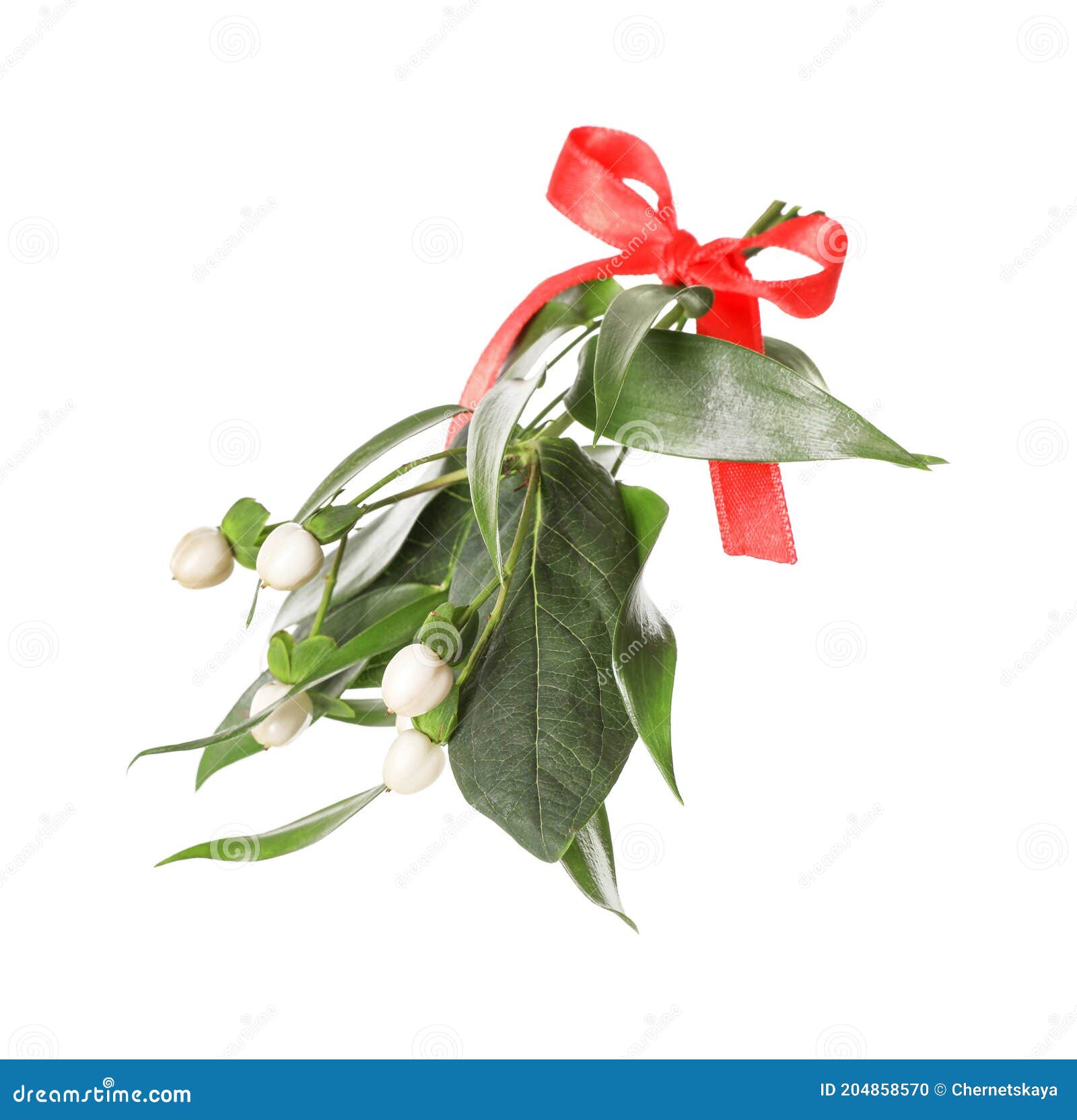 Mistletoe Bunch with Red Bow Isolated on White. Traditional Christmas ...
