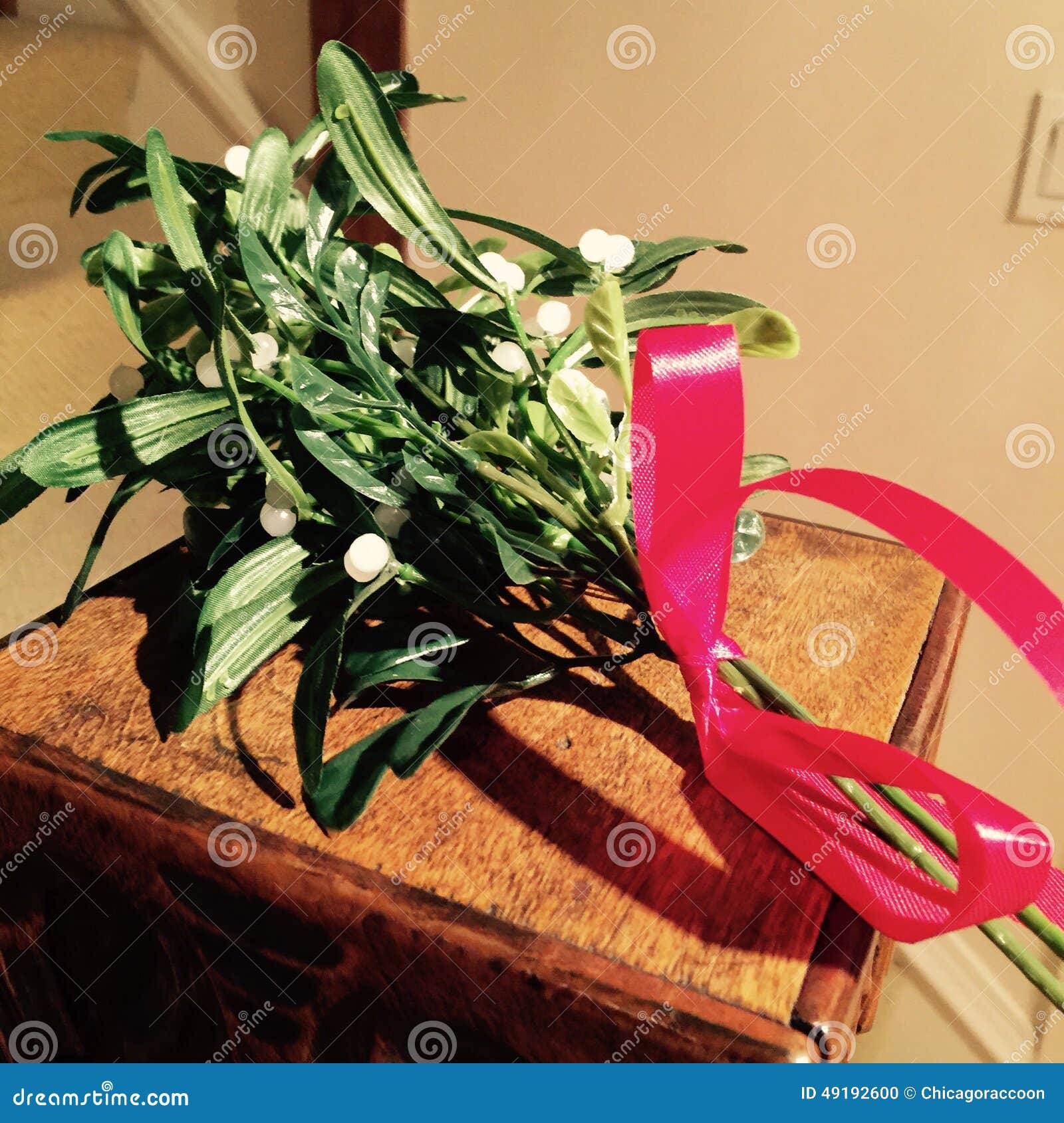 Mistletoe bundle stock photo. Image of wrapped, ribbon - 49192600