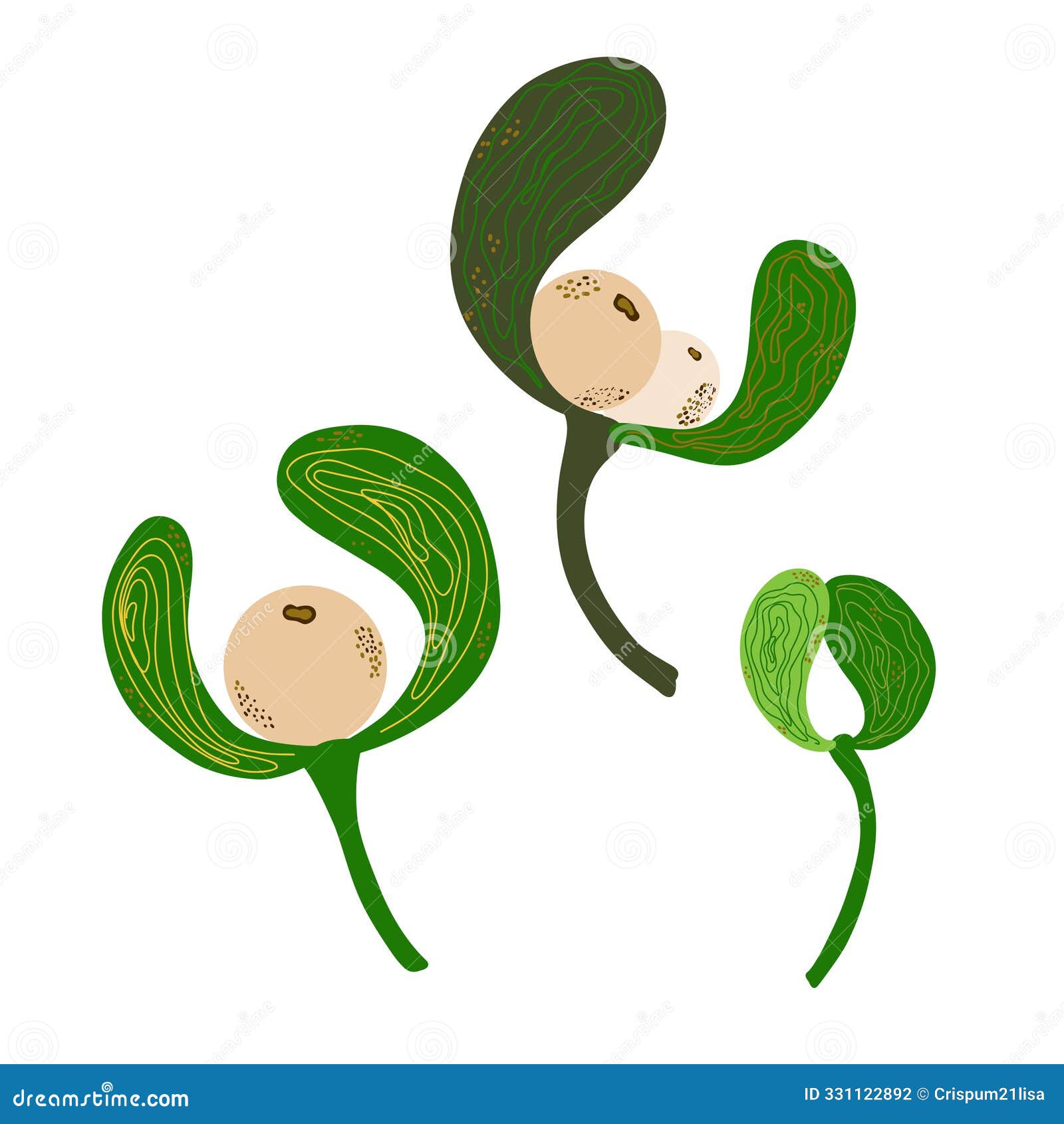 Mistletoe Flat Cartoon Style Stock Illustration - Illustration of ...
