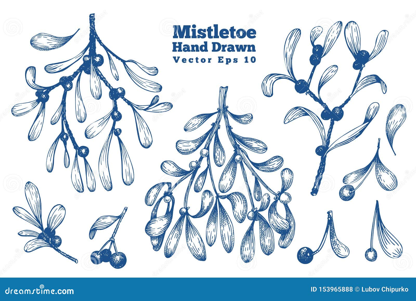 Mistletoe Hand Drawn Branches Vector Illustrations Set. Retro Style ...