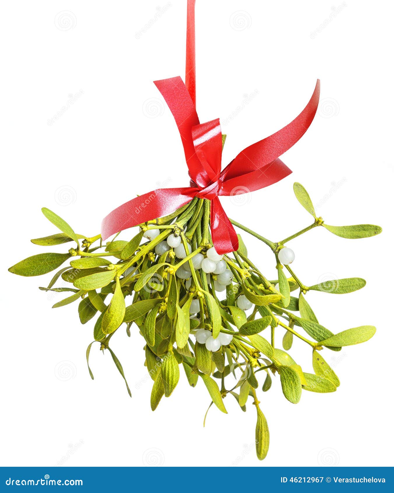 Mistletoe stock image. Image of background, herb, close - 46212967