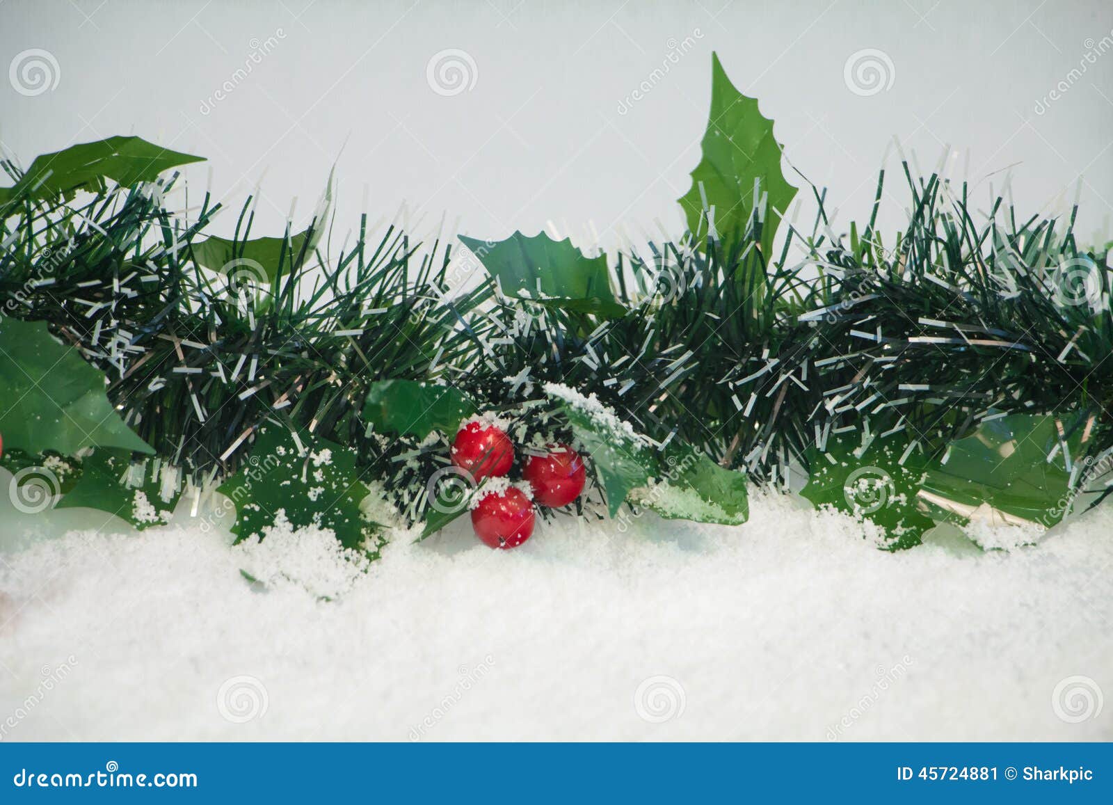 Mistletoe in Snow stock image. Image of mistletoe, happy - 45724881