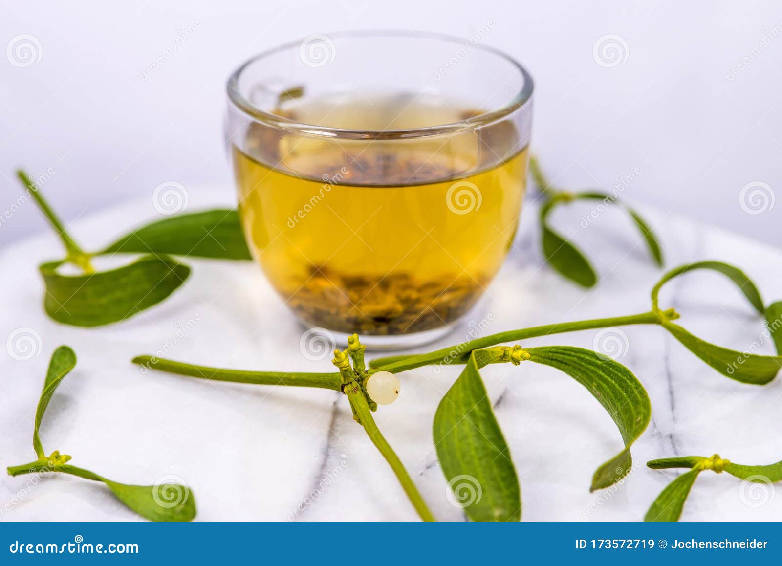 Mistletoe, Tea with Fresh Mistletoe Branch Stock Image - Image of ...