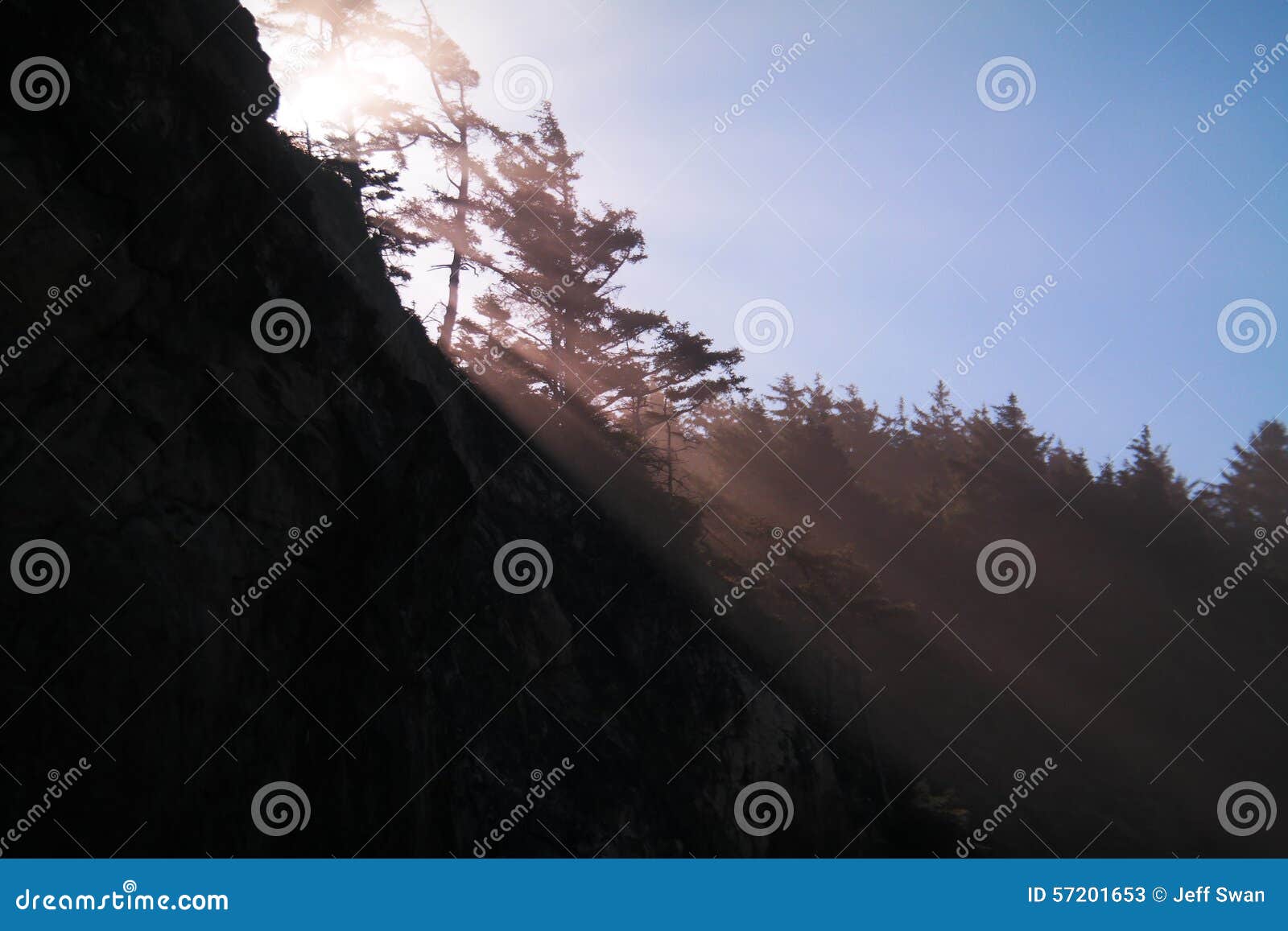 Mists through the trees stock image. Image of mists, coastal - 57201653