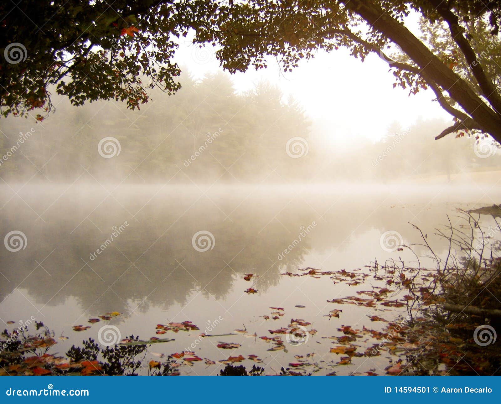 Misty Autumn Lake stock image. Image of foliage, serene - 14594501