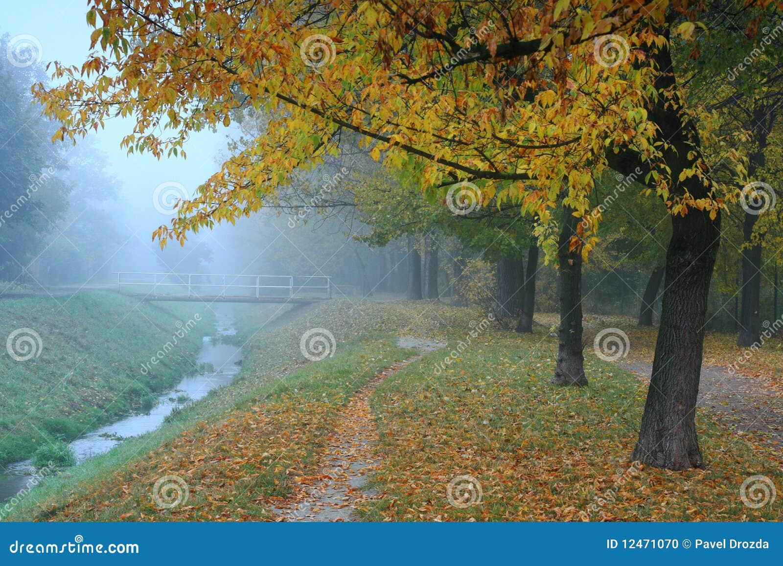 Misty autumn morning stock photo. Image of countryside - 12471070