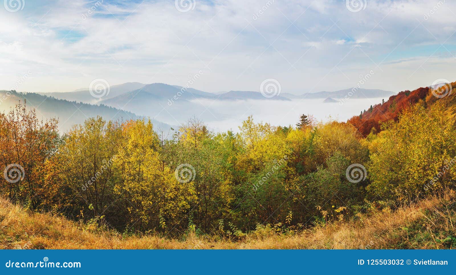 Misty Autumn Morning on Hills Mountains Covered by Beech Forest. Stock ...