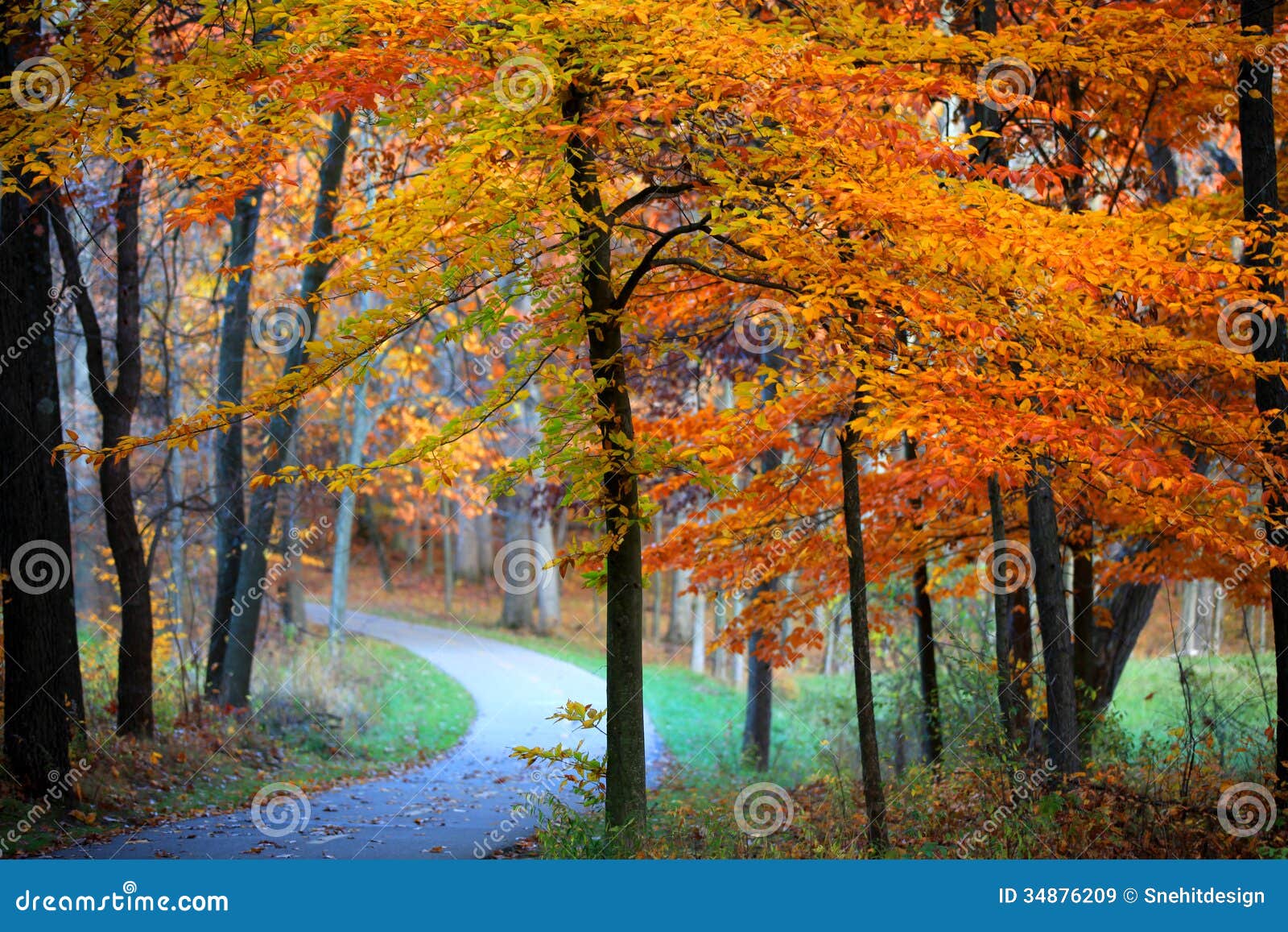 Misty autumn trail stock image. Image of environment - 34876209