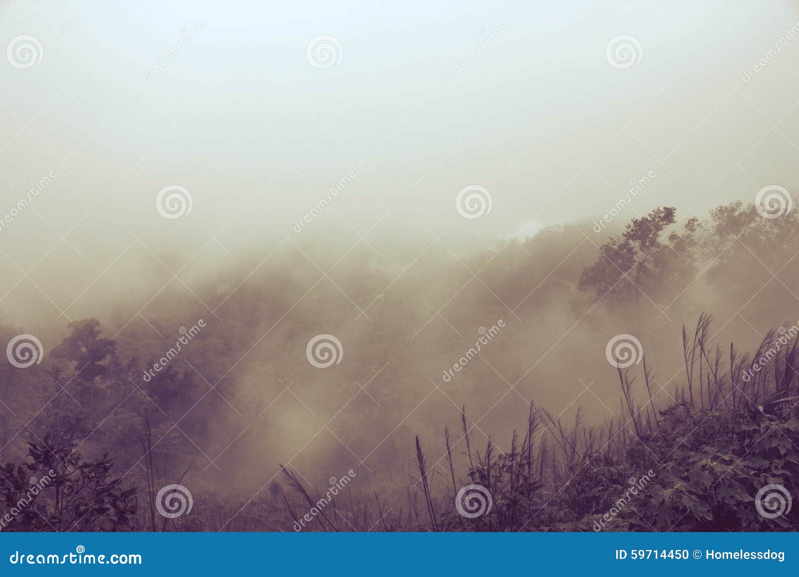 Misty Backgrounds stock photo. Image of light, center - 59714450