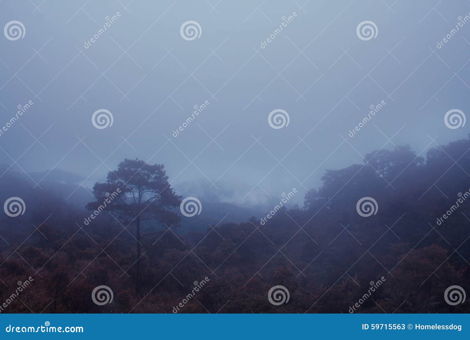 Misty Backgrounds stock image. Image of path, morning - 59715563
