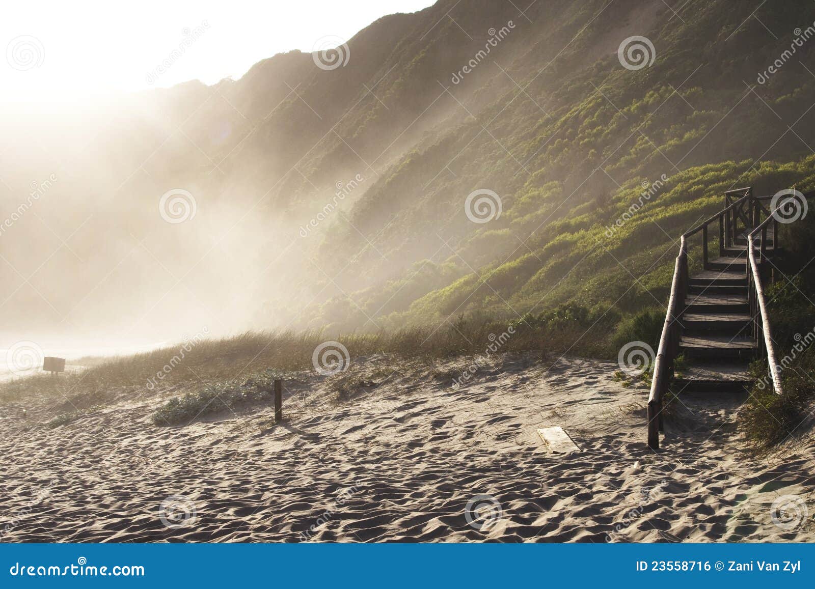 Misty beach stock photo. Image of dune, beach, green - 23558716