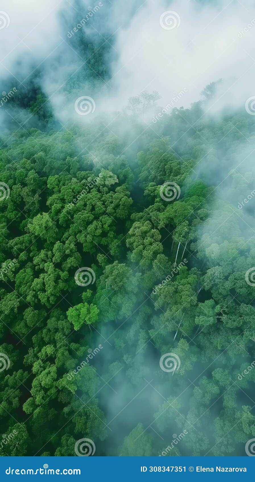 Misty Clouds Float Low Over Lush Tropical Forest, Aerial View Stock ...