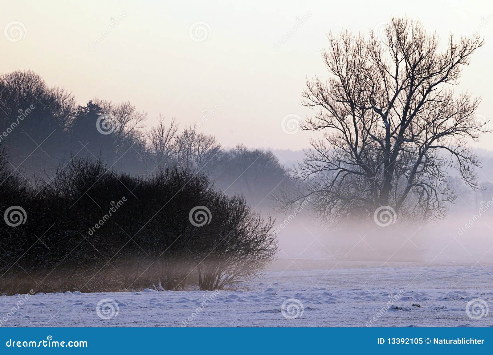 Misty Countryside in Winter Stock Image - Image of trees, wintertime ...