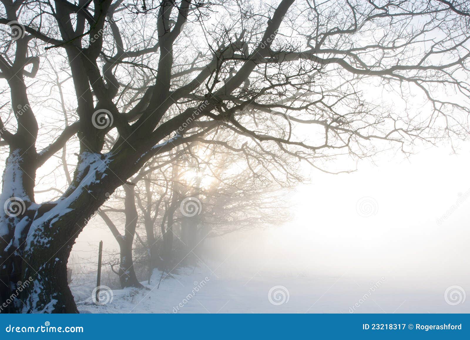 Misty Dawn Over Snowy Field Stock Image - Image of season, outdoor ...