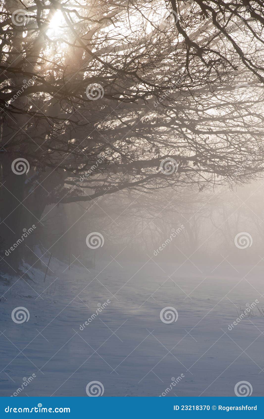Misty Dawn Over Snowy Field Stock Photo - Image of natural, landscape ...