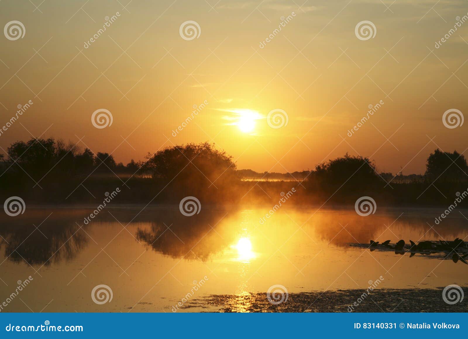 Misty Early Morning on the River Stock Image - Image of bushes, sunrise ...