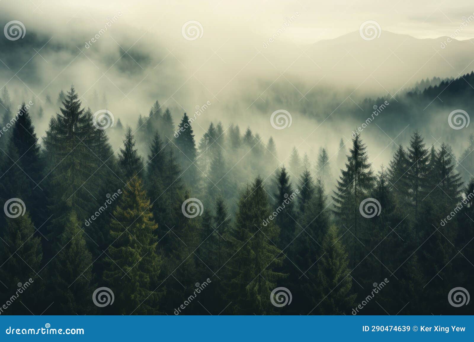 Misty Fading Forest stock illustration. Illustration of mist - 290474639