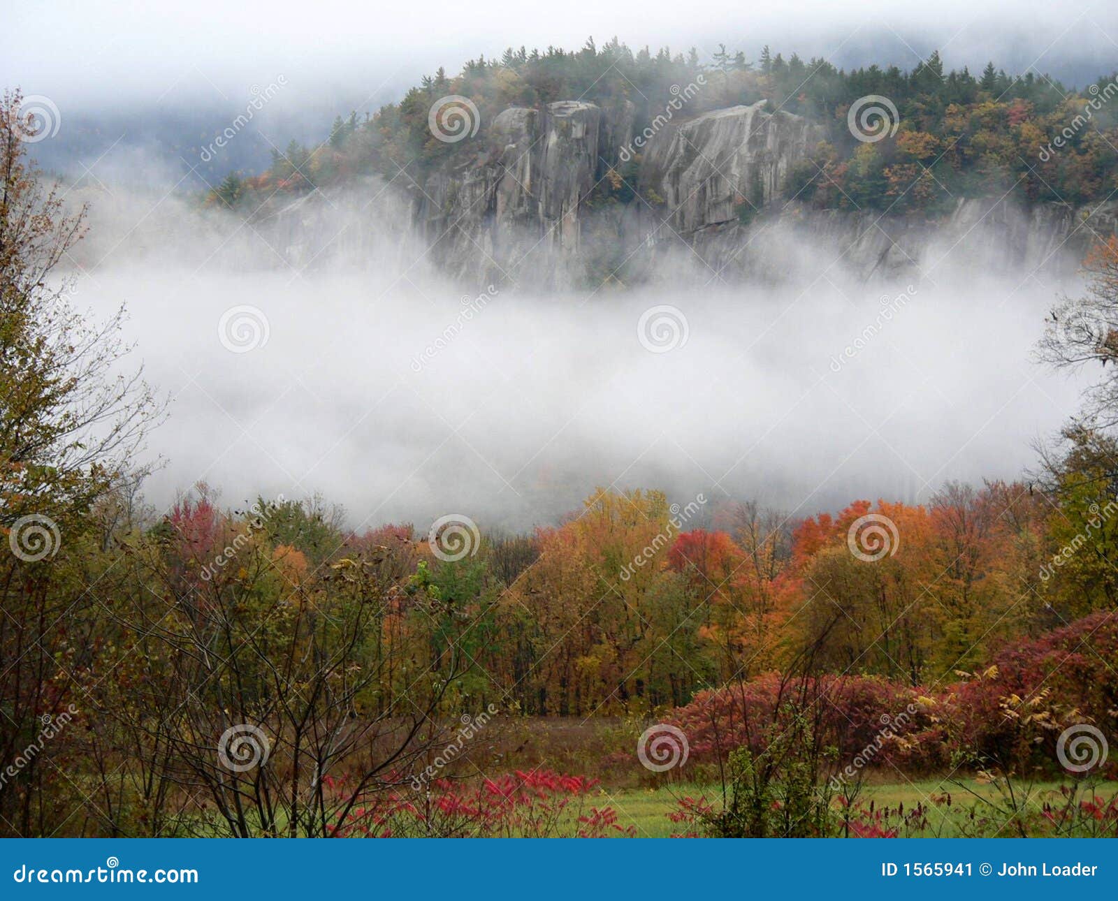 Misty Fall morning. stock image. Image of cloud, morning - 1565941
