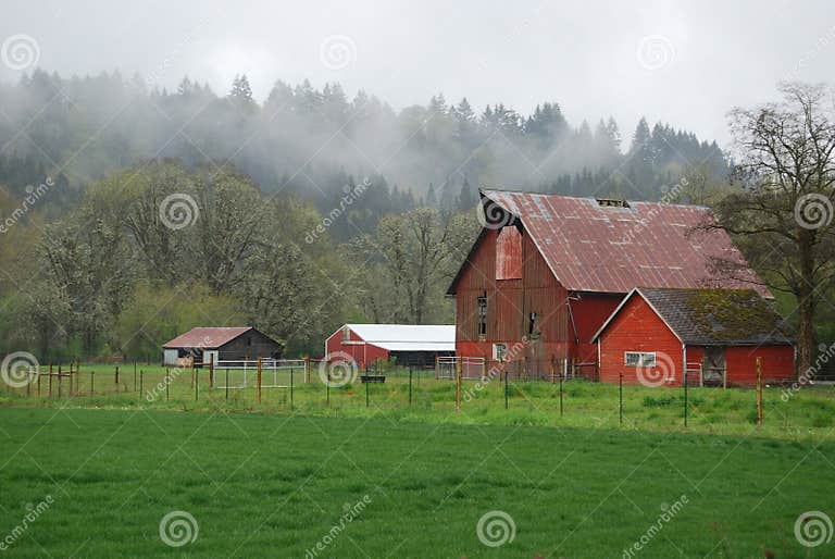 Misty Farm stock image. Image of pasture, fence, field - 2379803