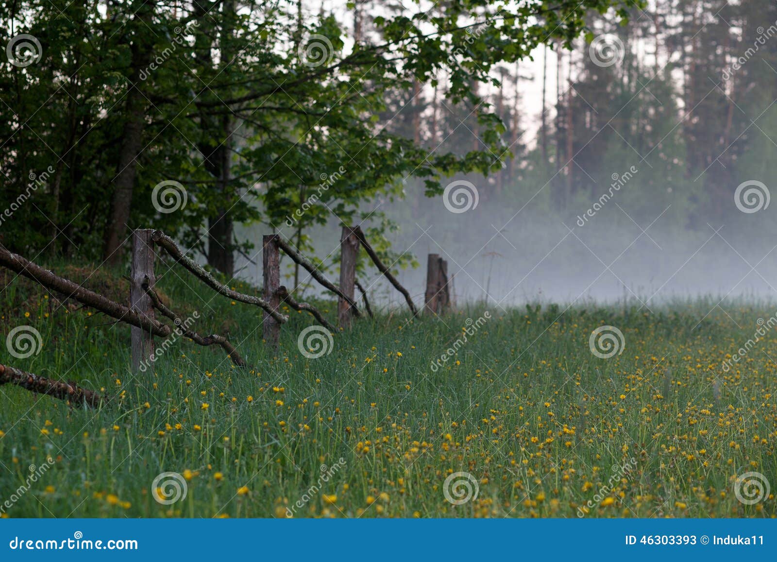 Misty farmland stock image. Image of scenic, wooden, country - 46303393