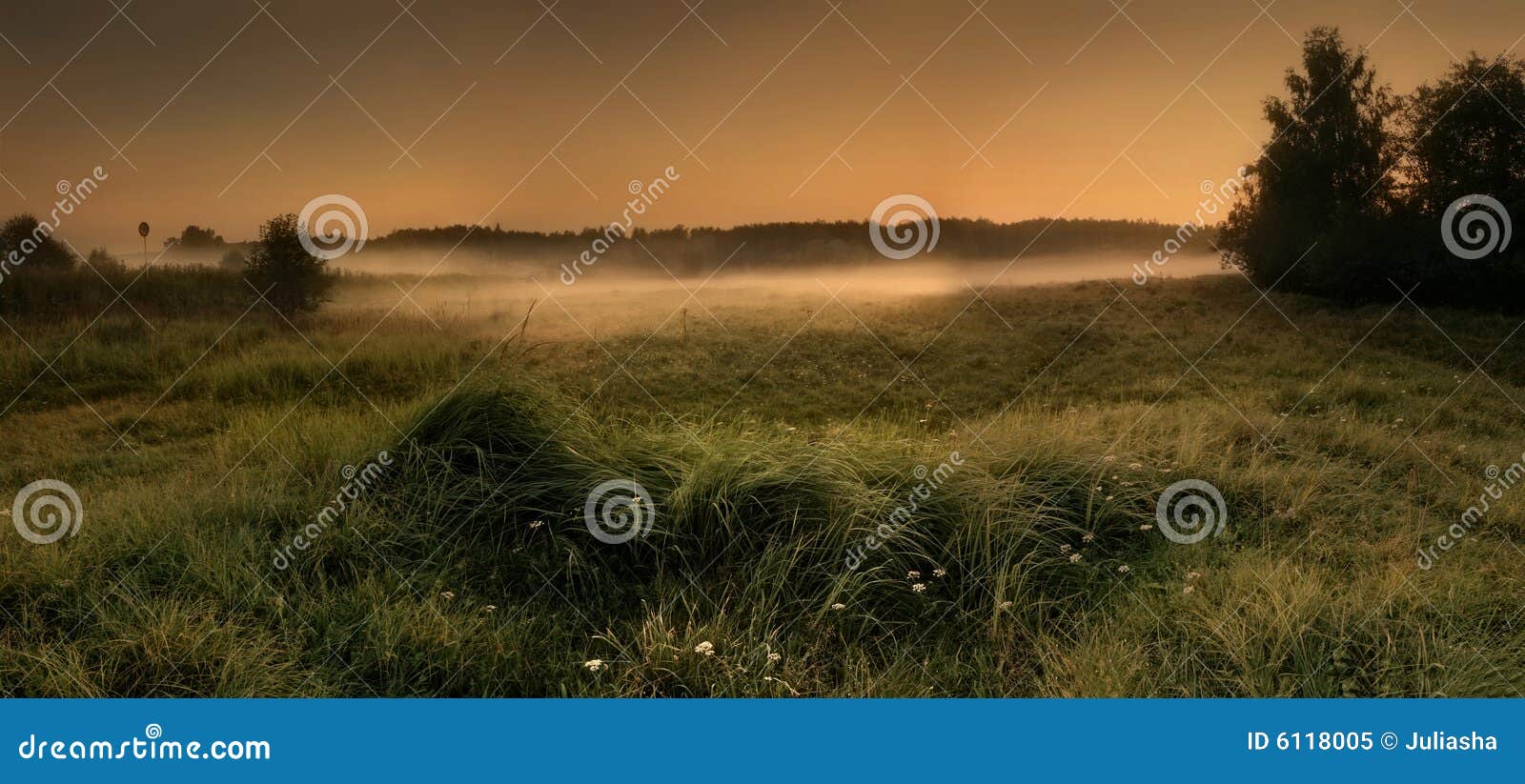 Misty field stock image. Image of misty, tree, yellow - 6118005