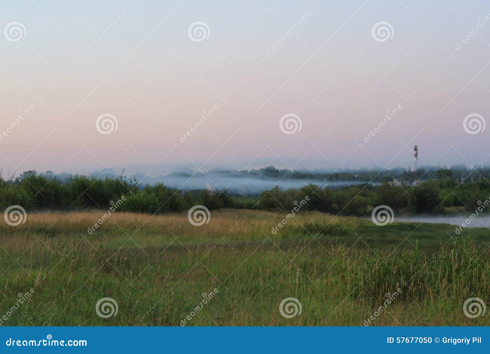 Misty field stock photo. Image of color, autumn, meadow - 57677050