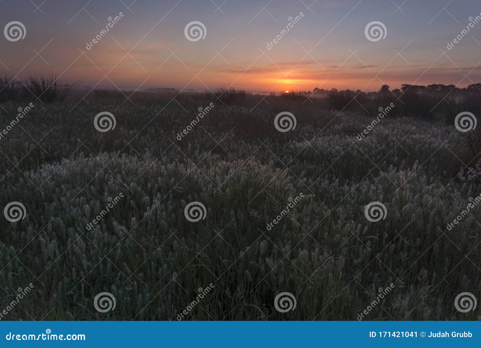 Misty Fields in Farm at Sunrise Stock Image - Image of beautiful ...